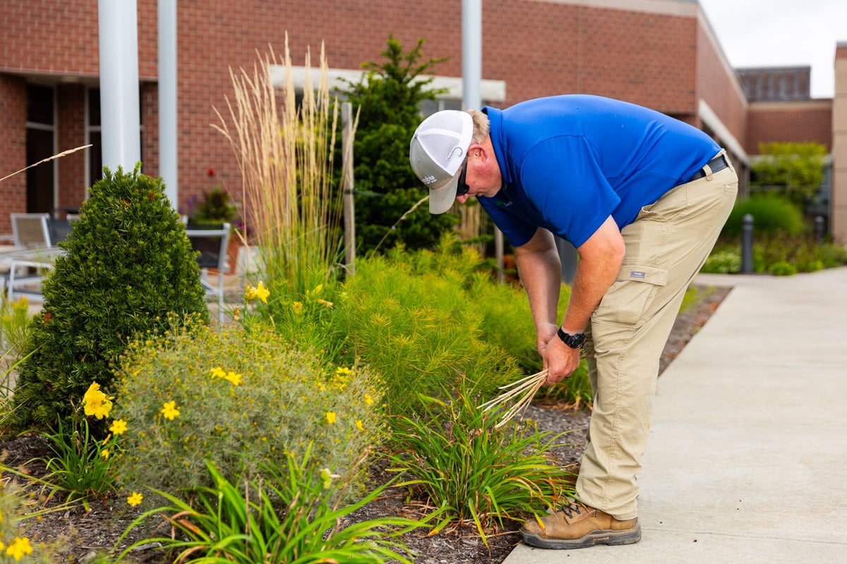 How Account Managers Can Positively Impact Your Commercial Landscaping ...