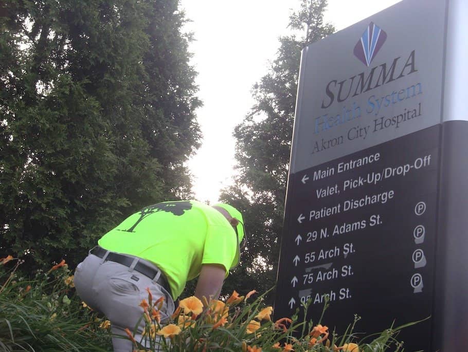 Landscaping Around Business Signs: 4 Tips To Improve Your Outdoor Signage