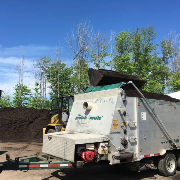 Commercial Grounds Maintenance Services | Turfscape